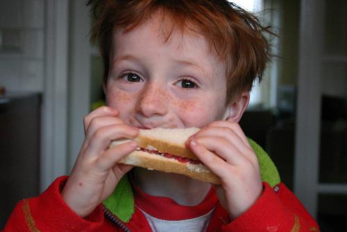 3 Healthy Food Ideas for Kid's Lunches - Positive Parenting Tips
